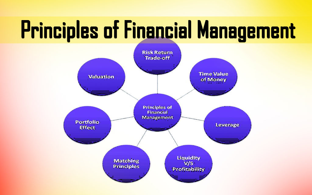 Principles of Financial Management - The Media Vine